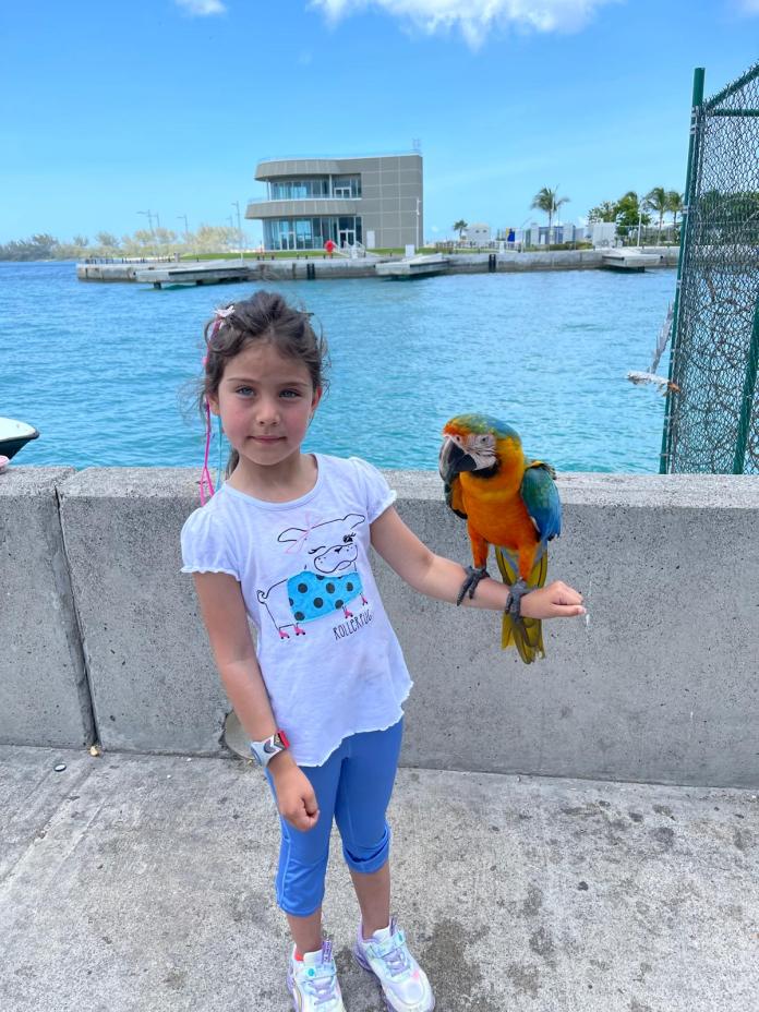 Dr. Gary Samuelson | A Journey of Discovery